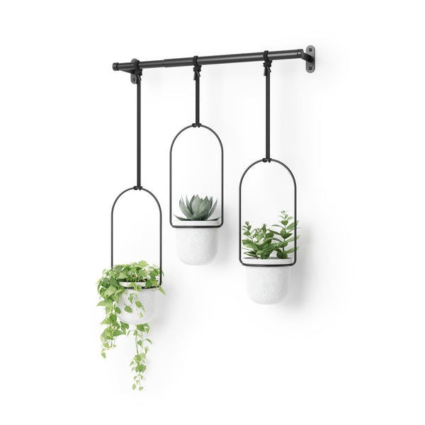 Collections – Umbra Canada